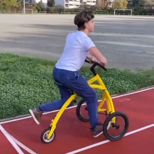 The Alinker - A radically different walking bike - Alinker shop (US)