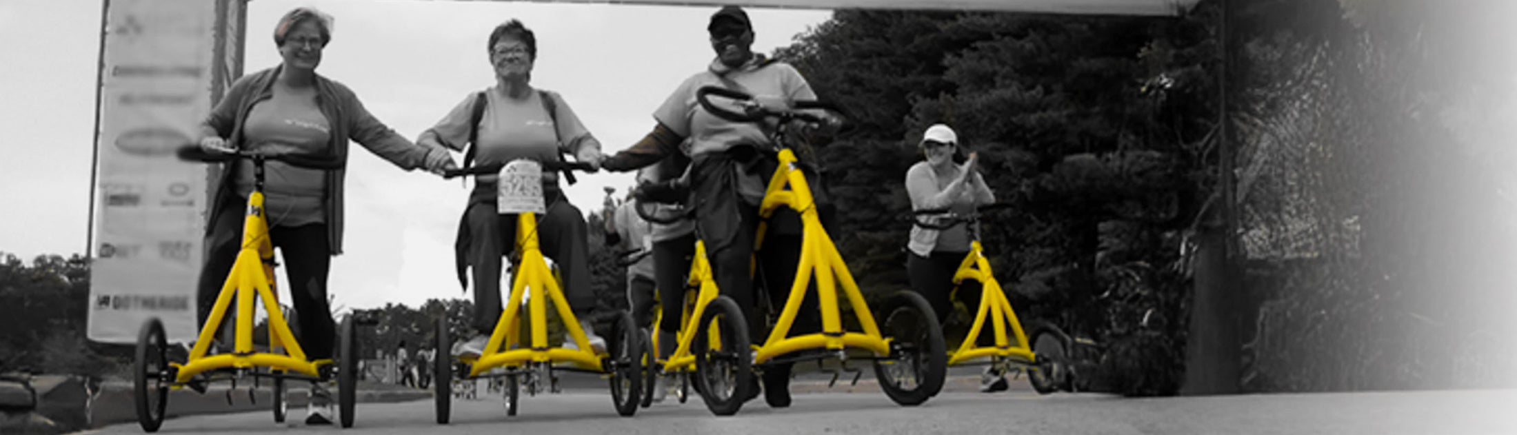 The Alinker - A radically different walking bike - Alinker shop (US)