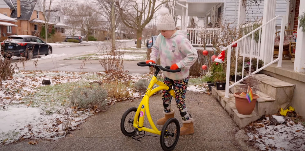 The Alinker - A radically different walking bike - Alinker shop (US)