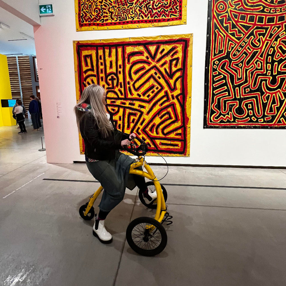 Testimonials & Stories - Alinker USA