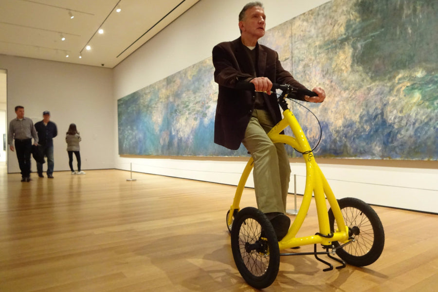 Alinker Bike - Shop Alinker USA